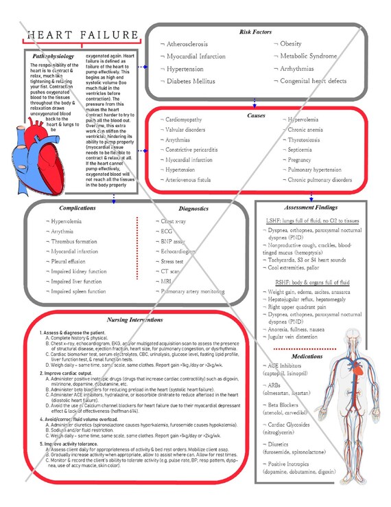 Heart Failure Nursing Concept Map | Etsy