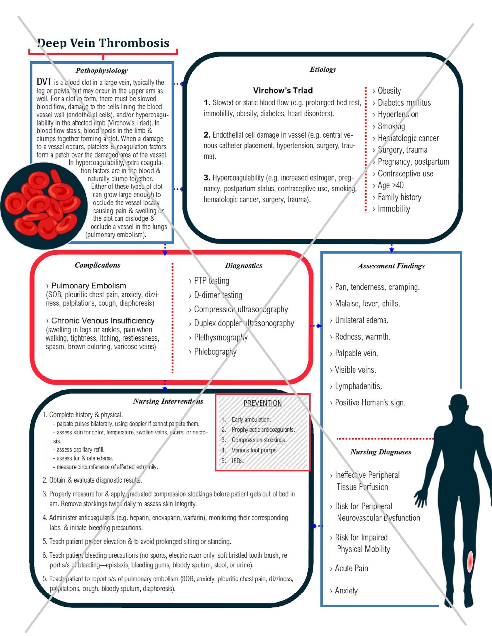 Deep Vein Thrombosis Nursing Concept Map | Etsy