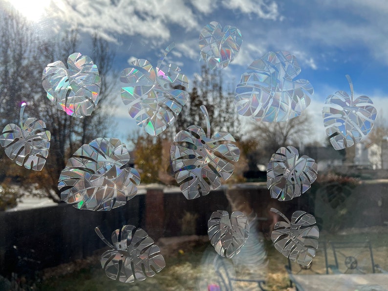 Monstera Leaves Window Cling Bling Holographic Rainbow Maker - Etsy