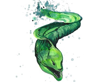 Moray Eel Art | Etsy