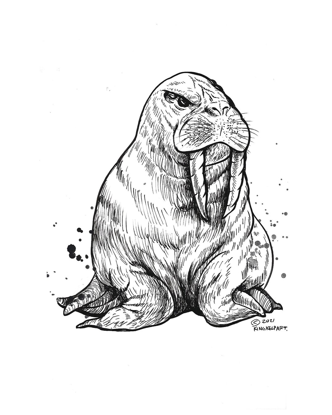 Fanged Walrus Fine Art Print Walrus Drawing Sea Animal Art Mammal Art ...