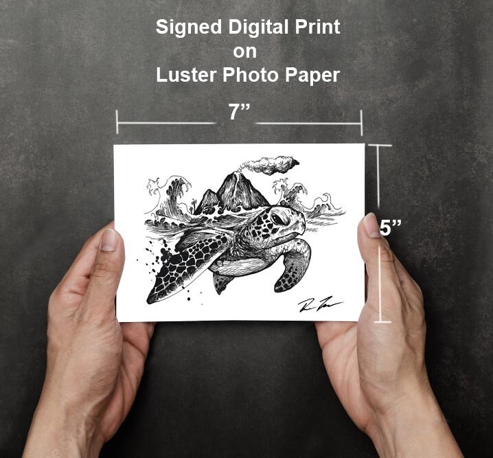 Sea Turtle Ink Drawing for Home or Office Turtle Ink Print Wall Decor ...