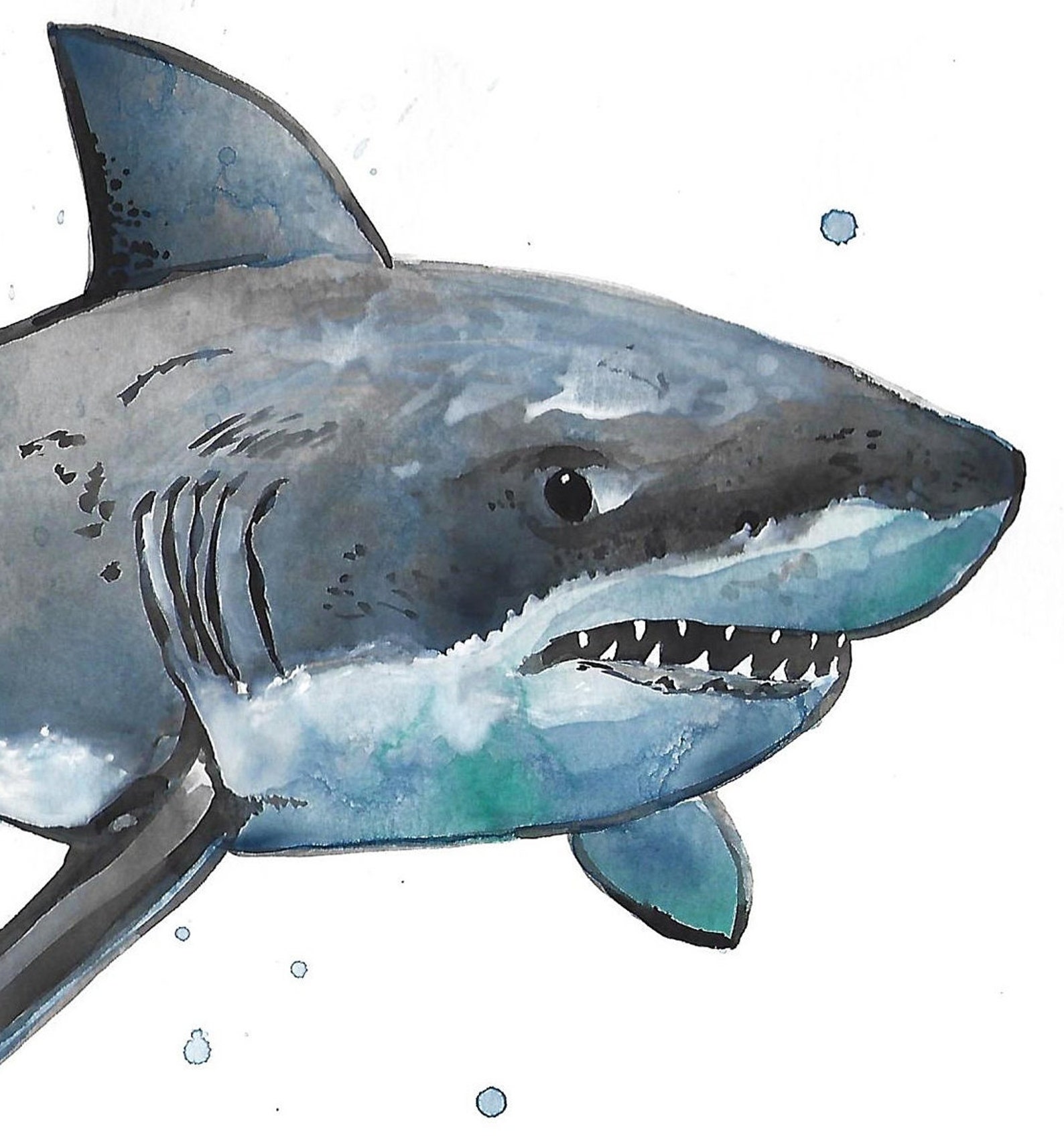 The Great White Shark Art Watercolor Shark Great White Acrylic Ink Ink ...