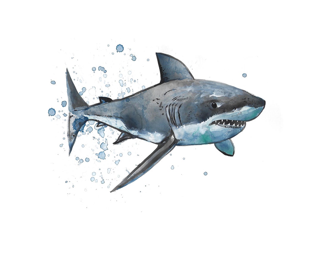 The Great White Shark Art Watercolor Shark Great White - Etsy