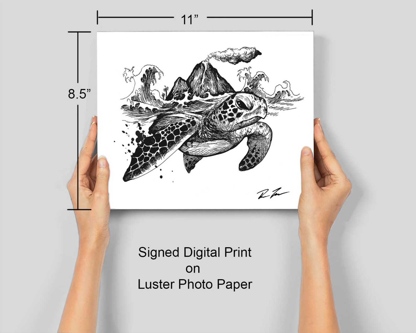 Sea Turtle Ink Drawing for Home or Office Turtle Ink Print Wall Decor ...