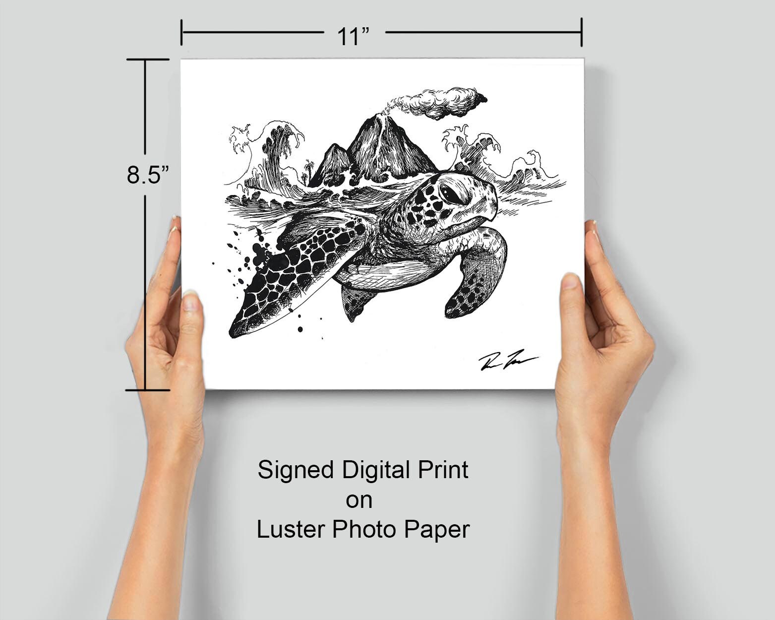 Sea Turtle Ink Drawing for Home or Office Turtle Ink Print Wall Decor ...