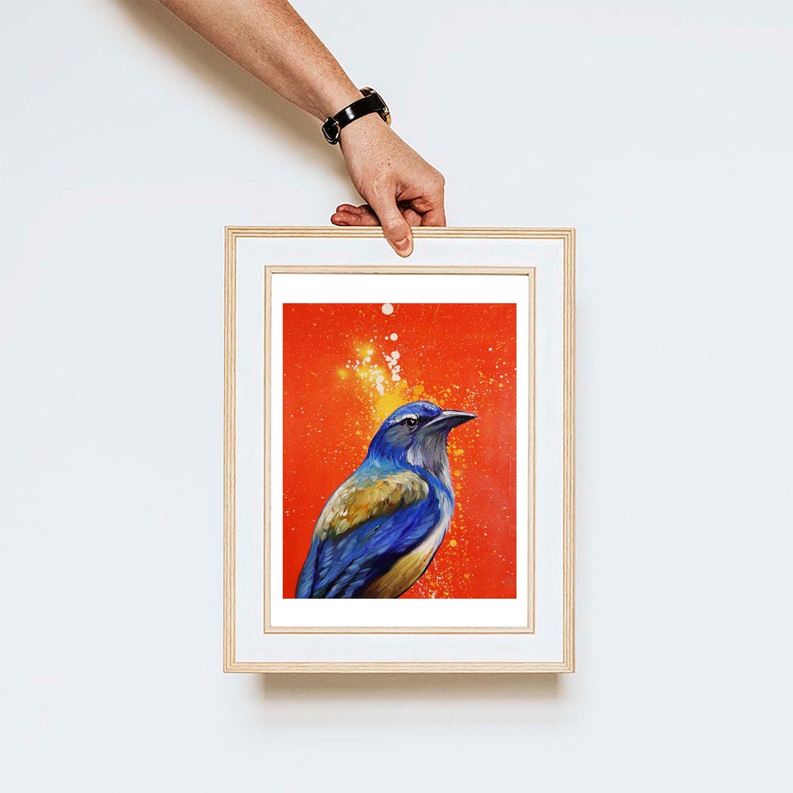 California Blue Jay Bird Art Print Acrylic Art Western Jay Bird Nature ...