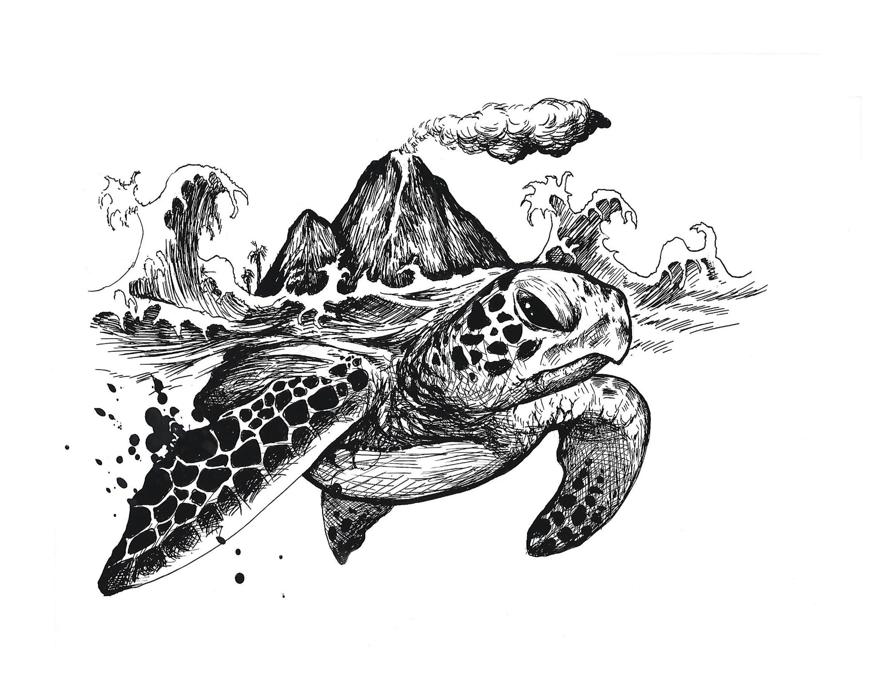 Sea Turtle Ink Drawing for Home or Office Turtle Ink Print Wall Decor ...