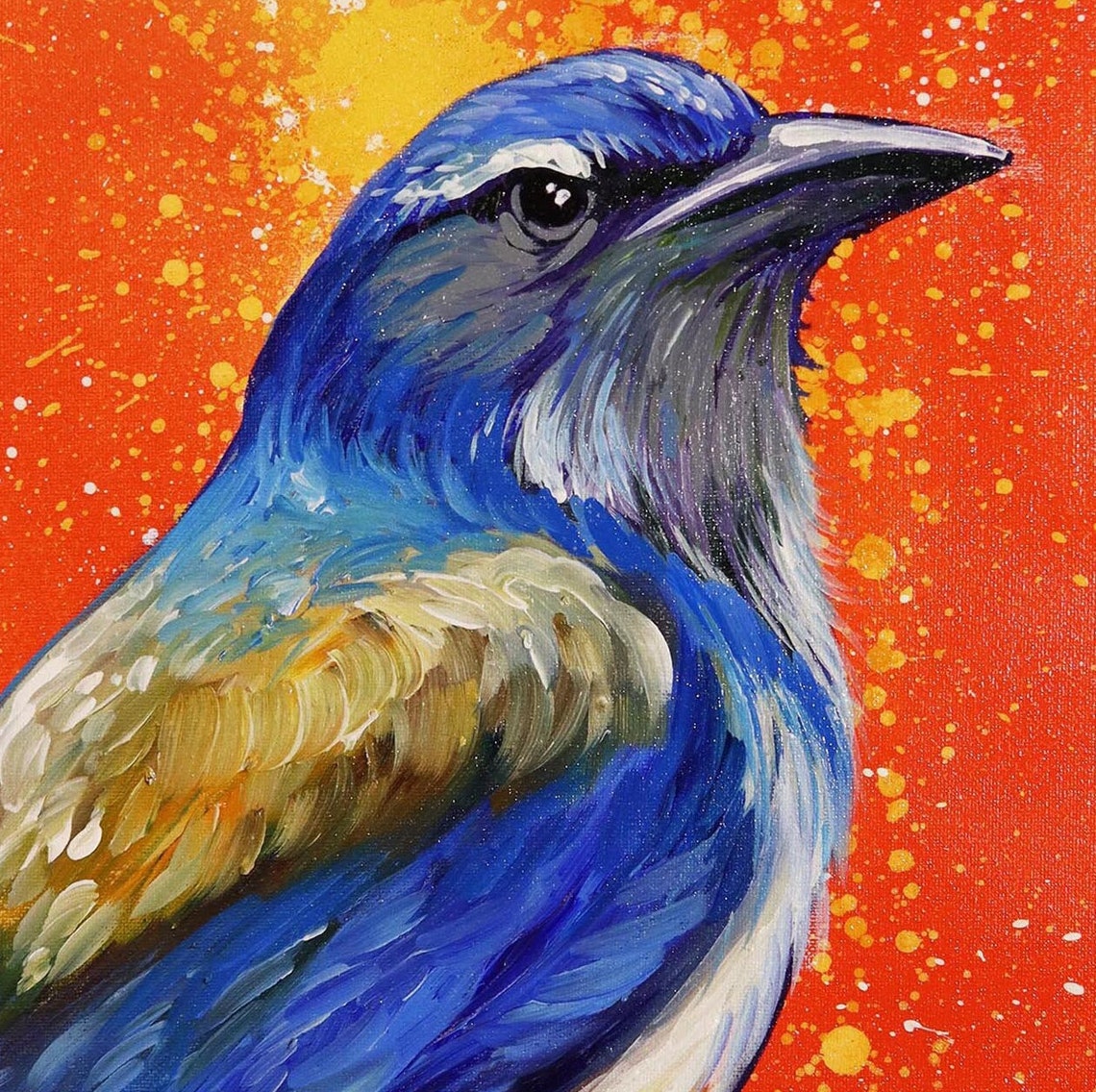 California Blue Jay Bird Art Print Acrylic Art Western Jay Bird Nature ...
