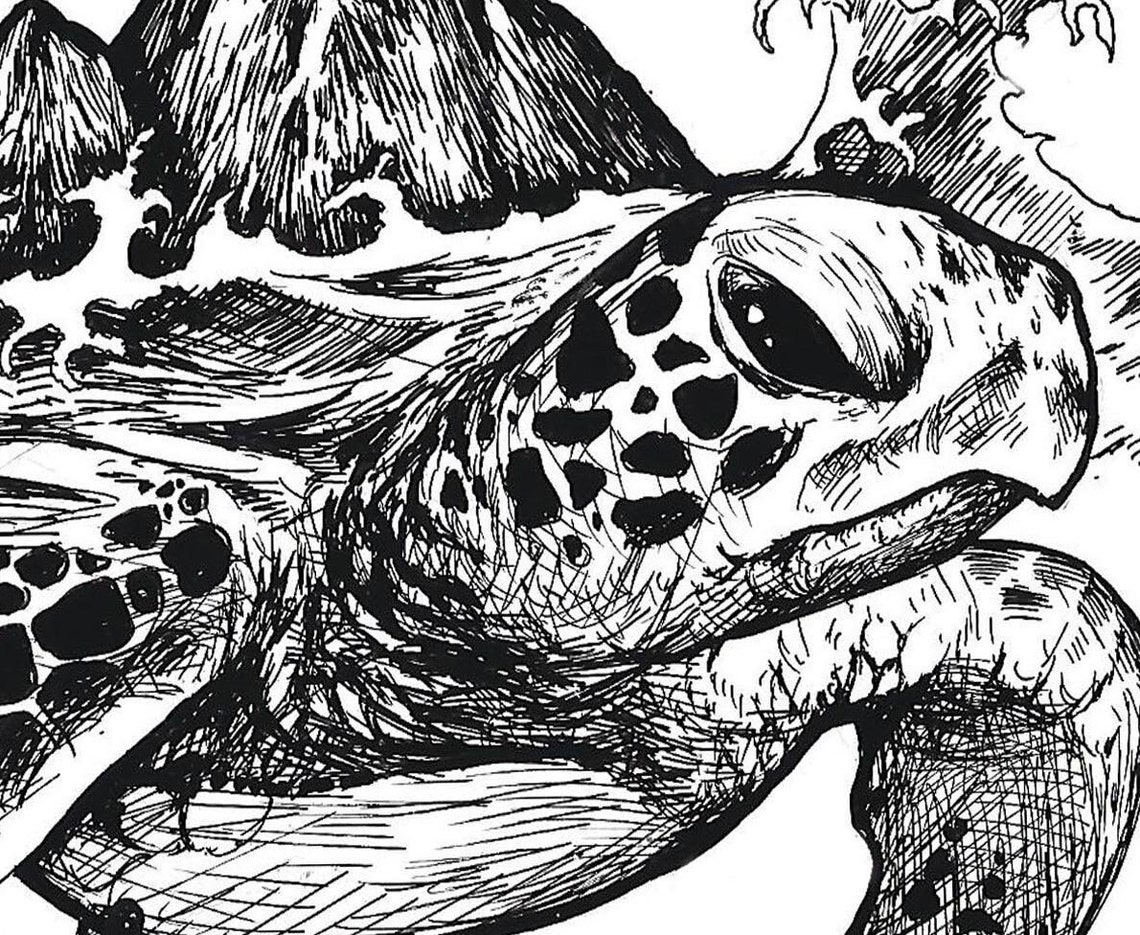 Sea Turtle Ink Drawing for Home or Office Turtle Ink Print Wall Decor ...