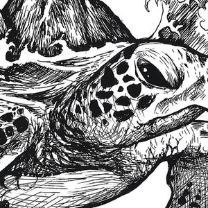 Sea Turtle Ink Drawing for Home or Office Turtle Ink Print Wall Decor ...