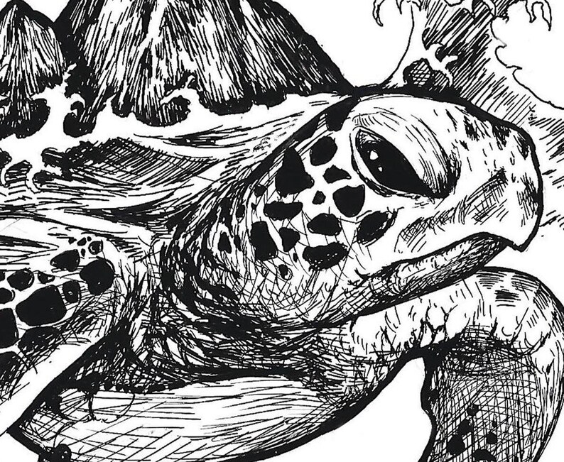 Sea Turtle Ink Drawing for Home or Office Turtle Ink Print Wall Decor ...