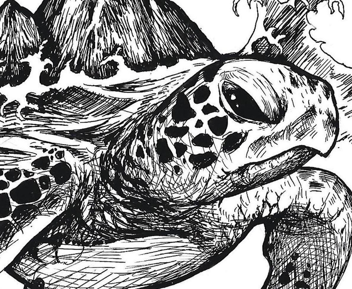 Sea Turtle Ink Drawing for Home or Office Turtle Ink Print Wall Decor ...