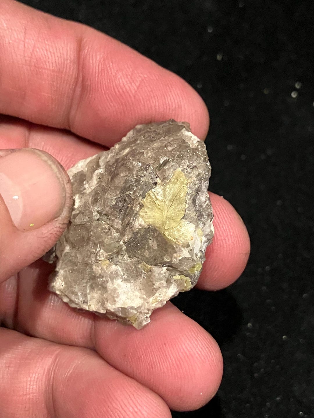 Chrysoberyl in Matrix, From Nevada, USA Minerals - Rare Specimens - Etsy