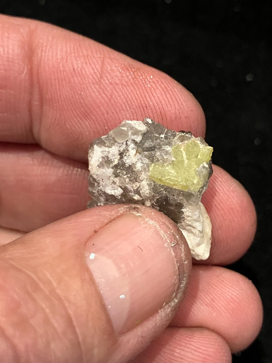 Chrysoberyl in Matrix, From Nevada, USA Minerals - Rare Specimens - Etsy