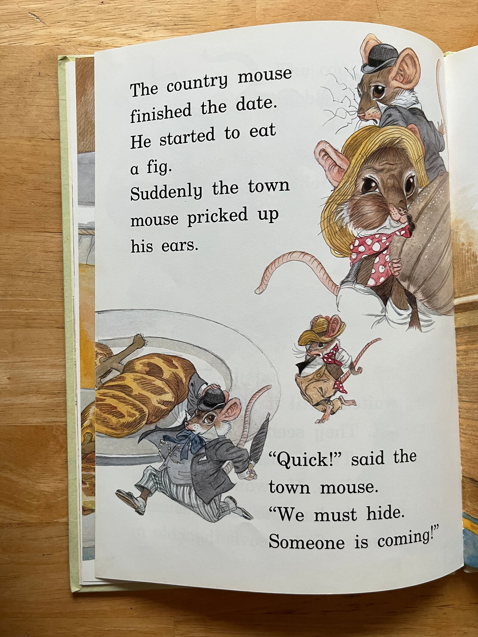 Town Mouse and Country Mouse (large Type for First Readers, Hardcover ...