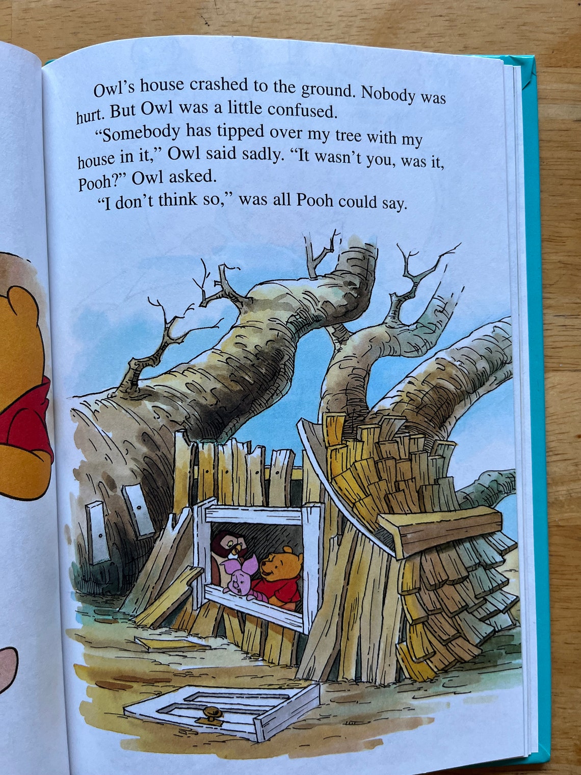 Disney's Winnie the Pooh and the Windy Day (hardcover) - Etsy