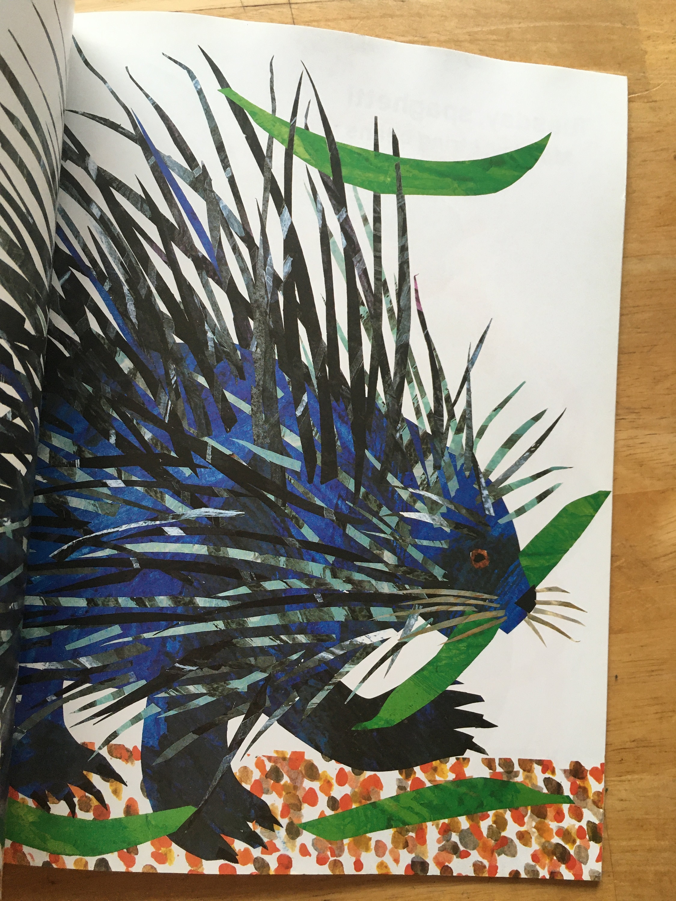 Today is Monday Pictures by Eric Carle - Etsy