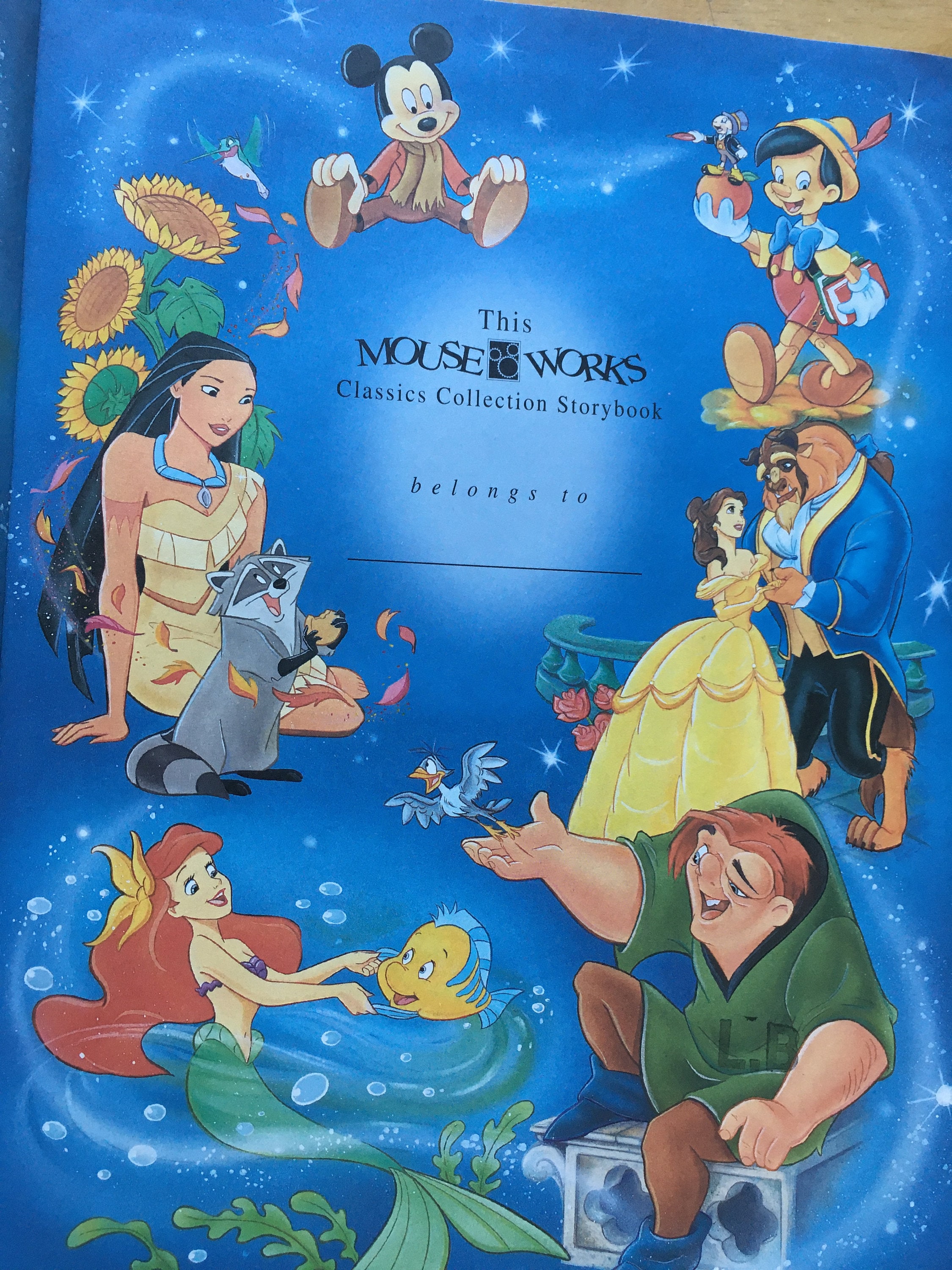 Disney's the Hunchback of Notre Dame (hardcover) - Etsy