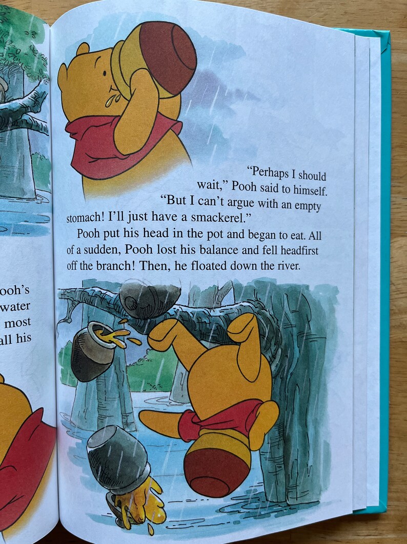 Disney's Winnie the Pooh and the Windy Day (hardcover) - Etsy