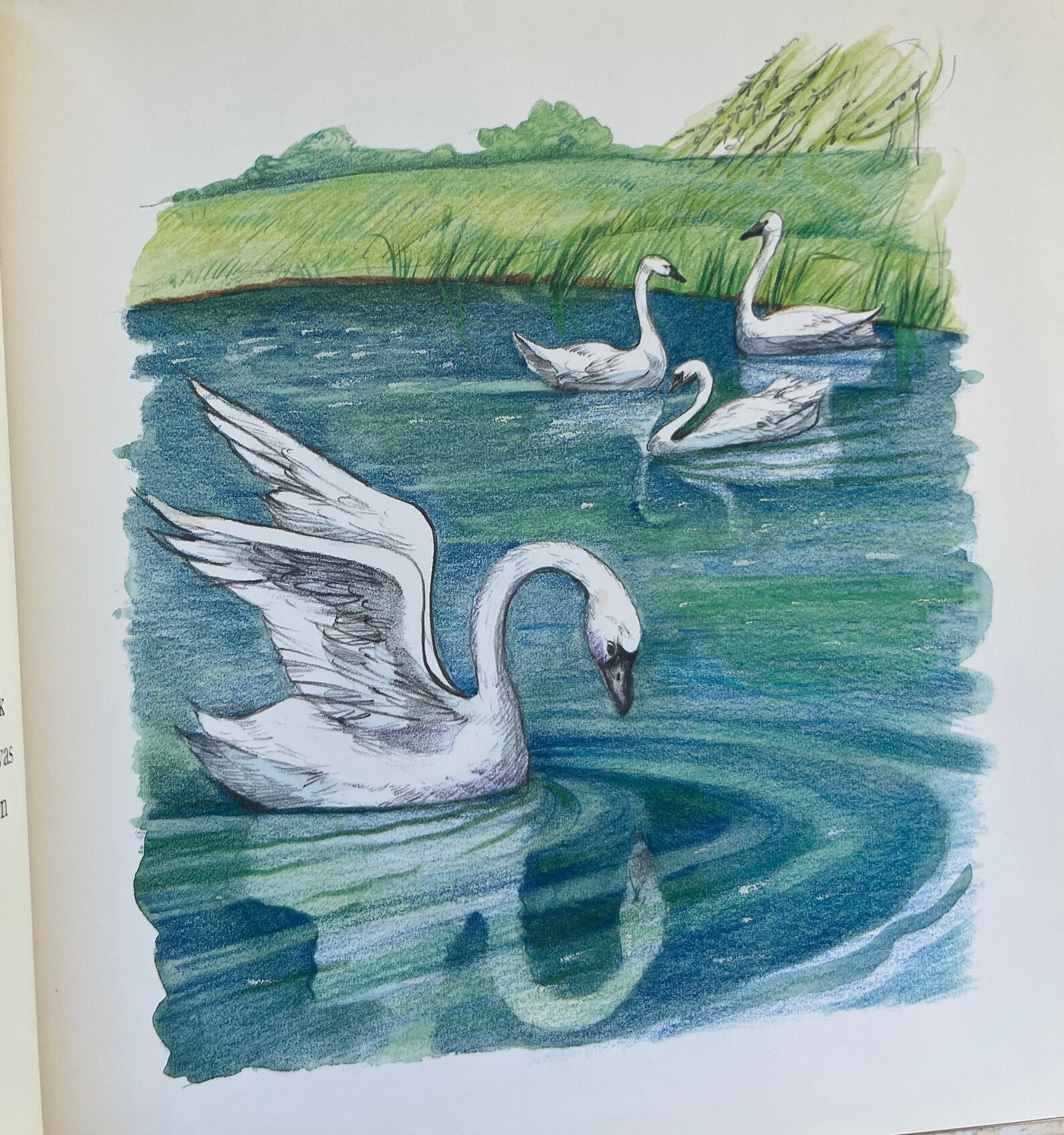 The Ugly Duckling (hardcover) - Etsy