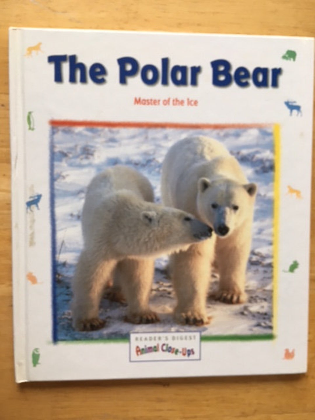 The Polar Bear Animal Close-ups hardcover. - Etsy