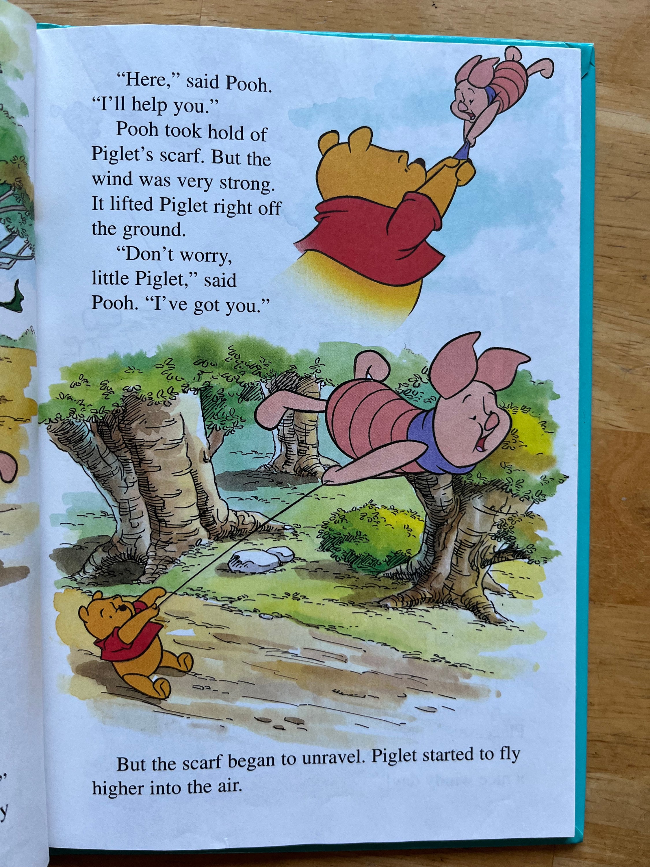 Disney's Winnie the Pooh and the Windy Day (hardcover) - Etsy