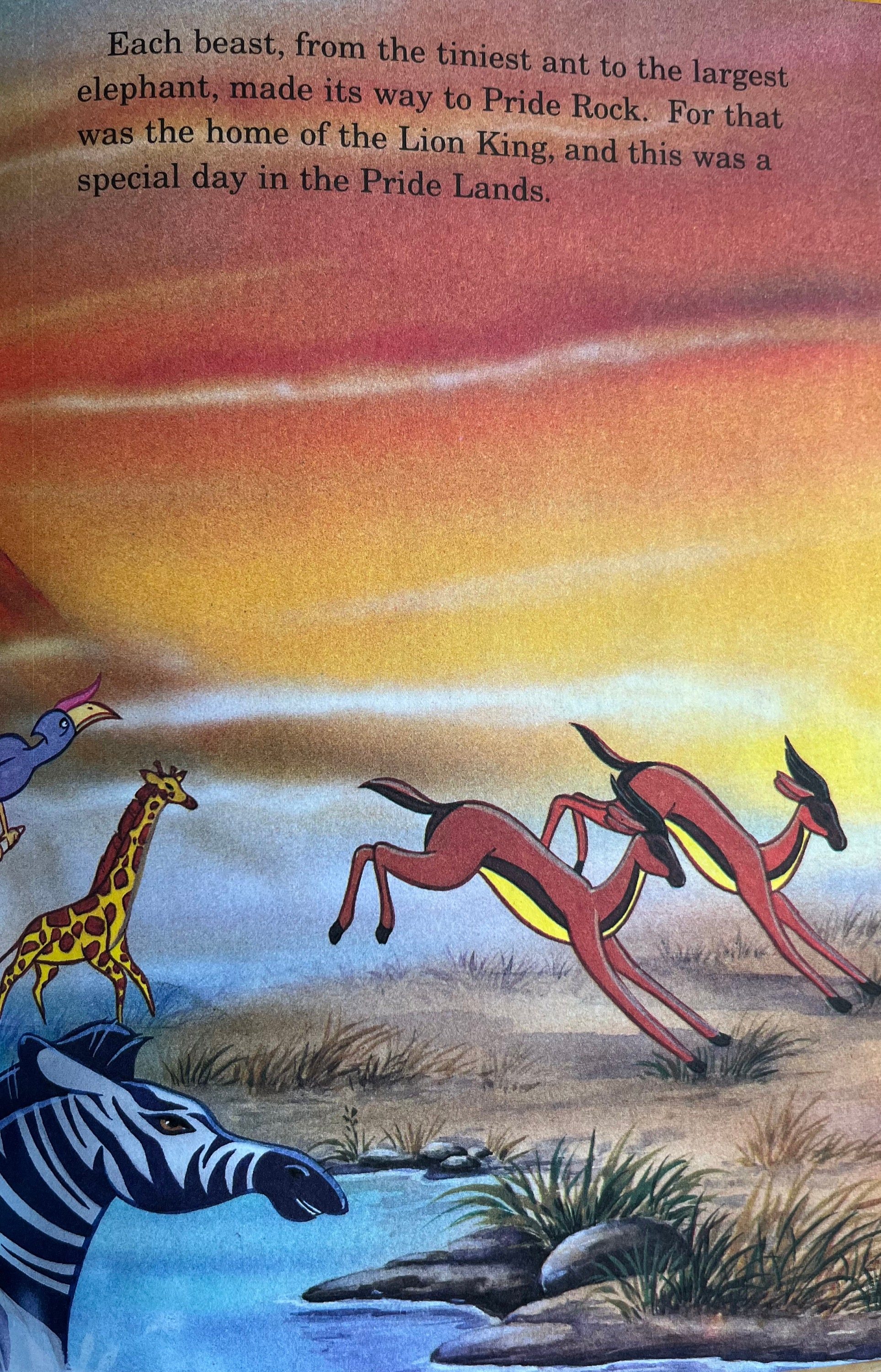 Disney's the Lion King (first American Edition, Hardcover) - Etsy