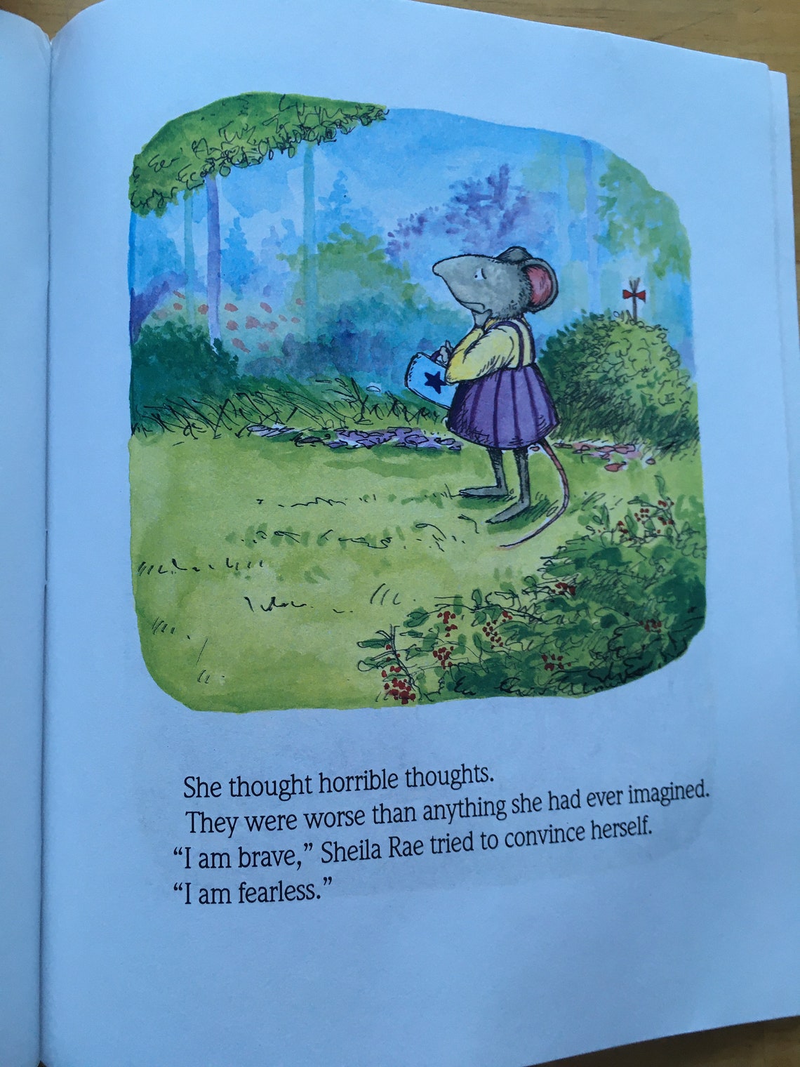 Sheila Rae, the Brave by Kevin Henkes scholastic - Etsy