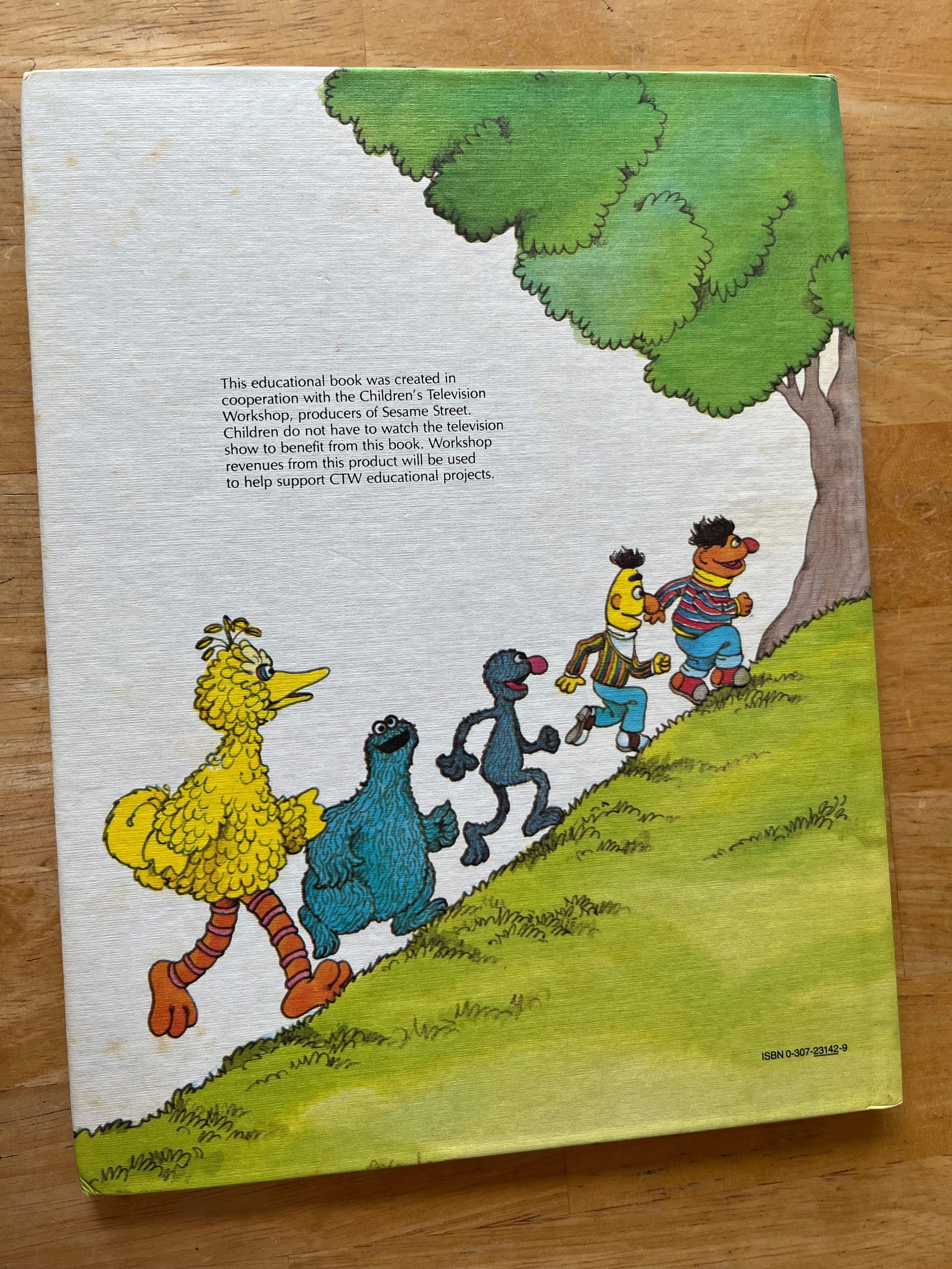 Follow The Leader Sesame Street Hardcover Etsy