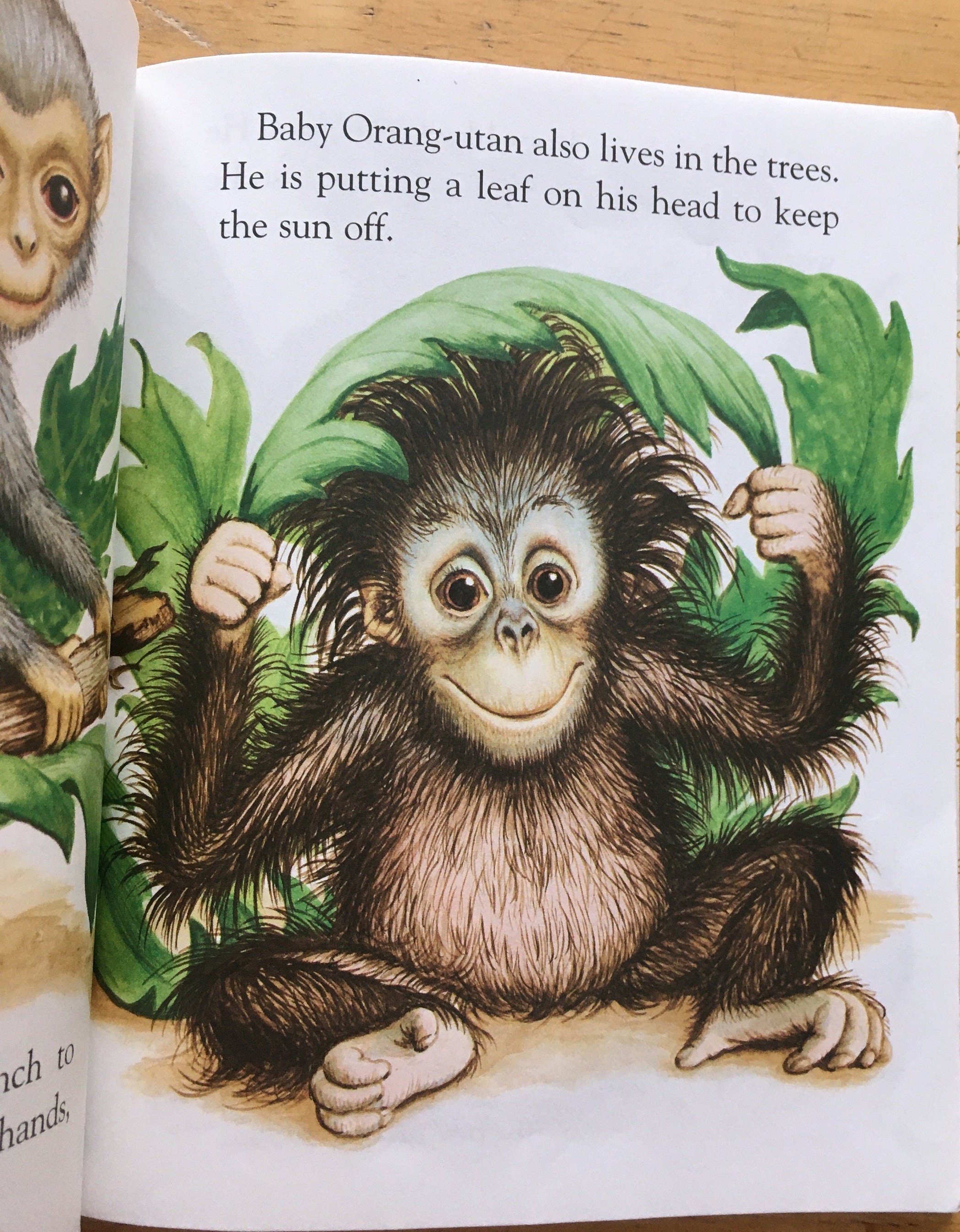 Baby Animals (a Little Golden Book Classic) - Etsy