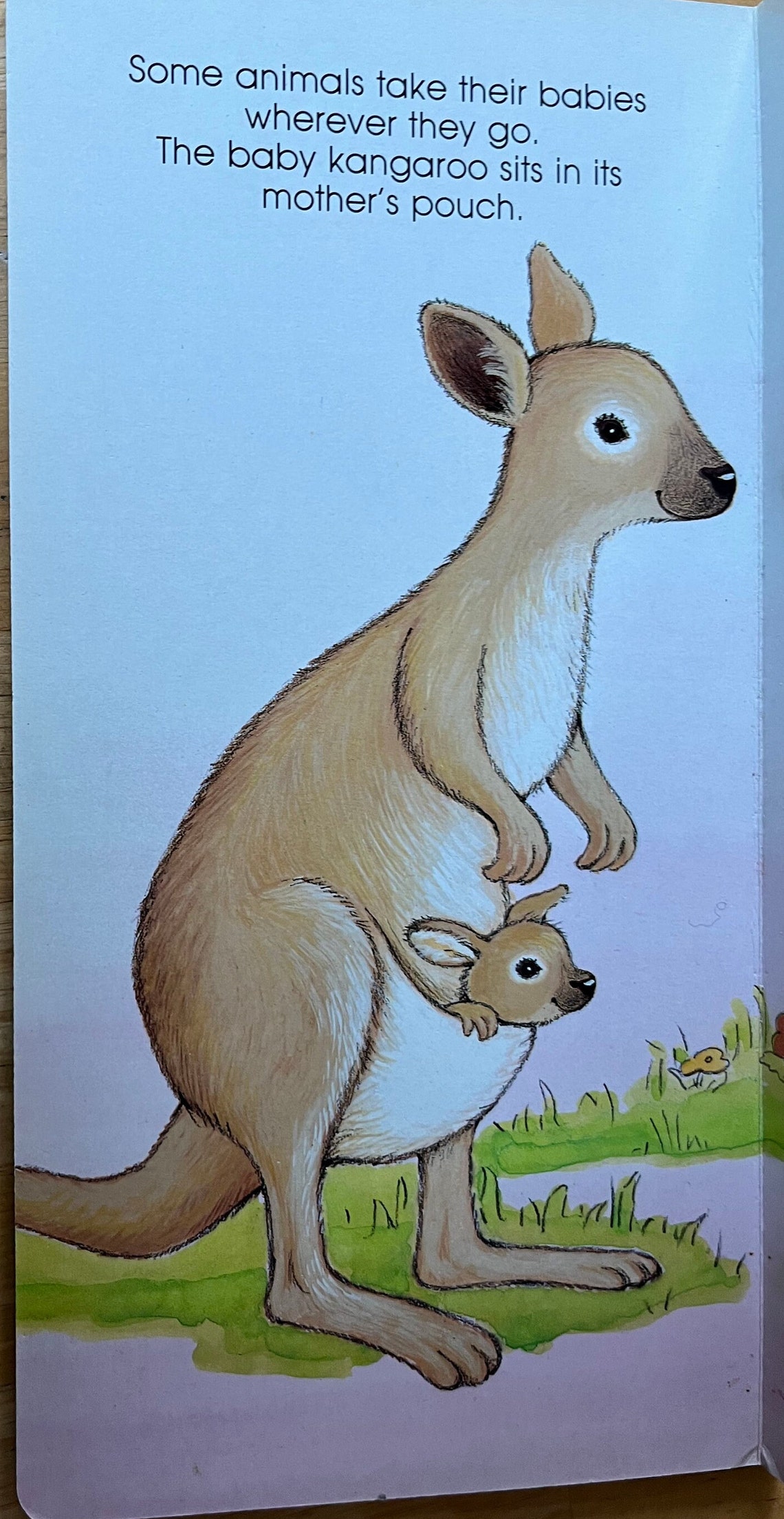 My Tall Book of Baby Animals board Book - Etsy