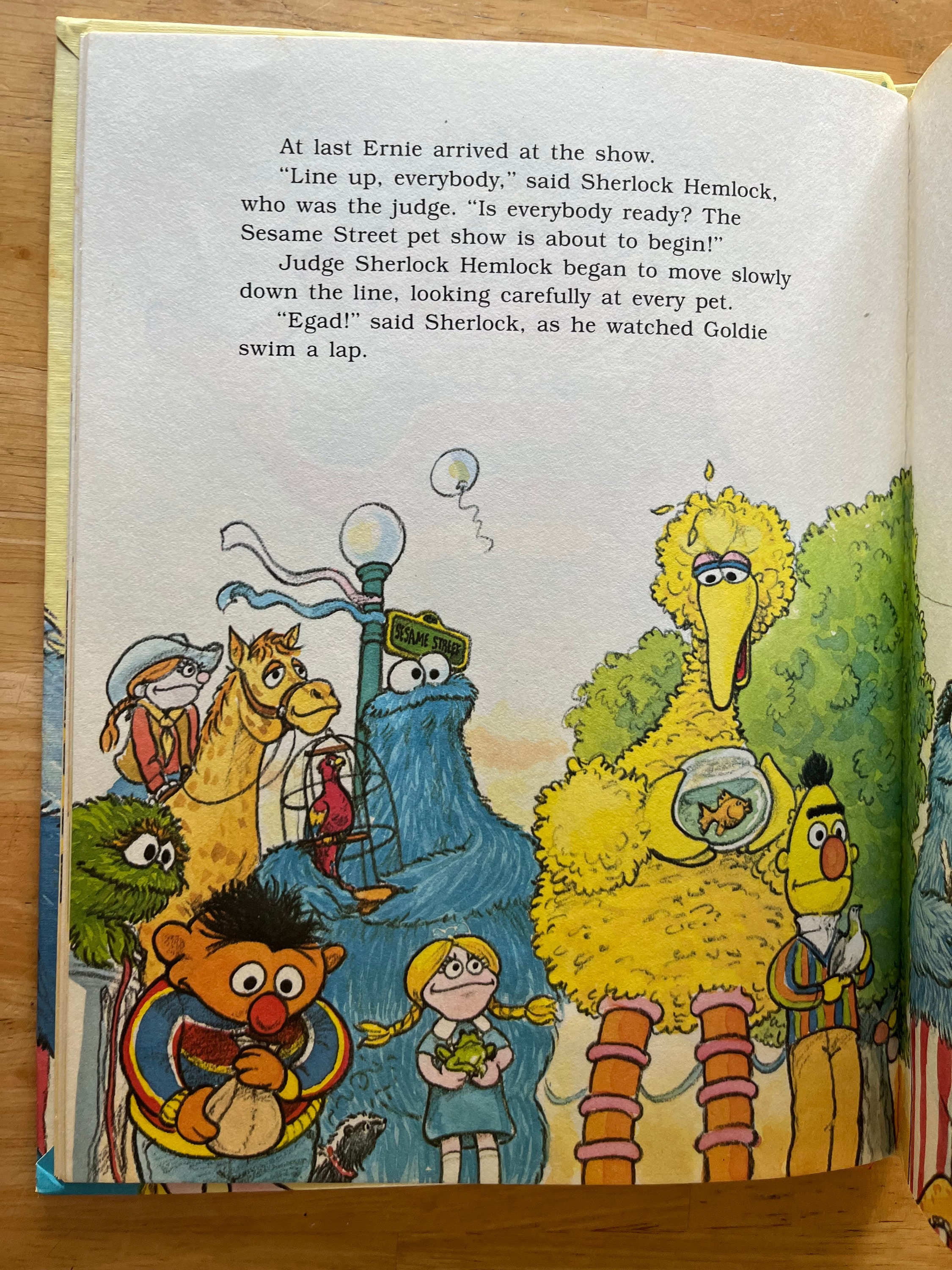 The Sesame Street Pet Show (hardcover) - Etsy