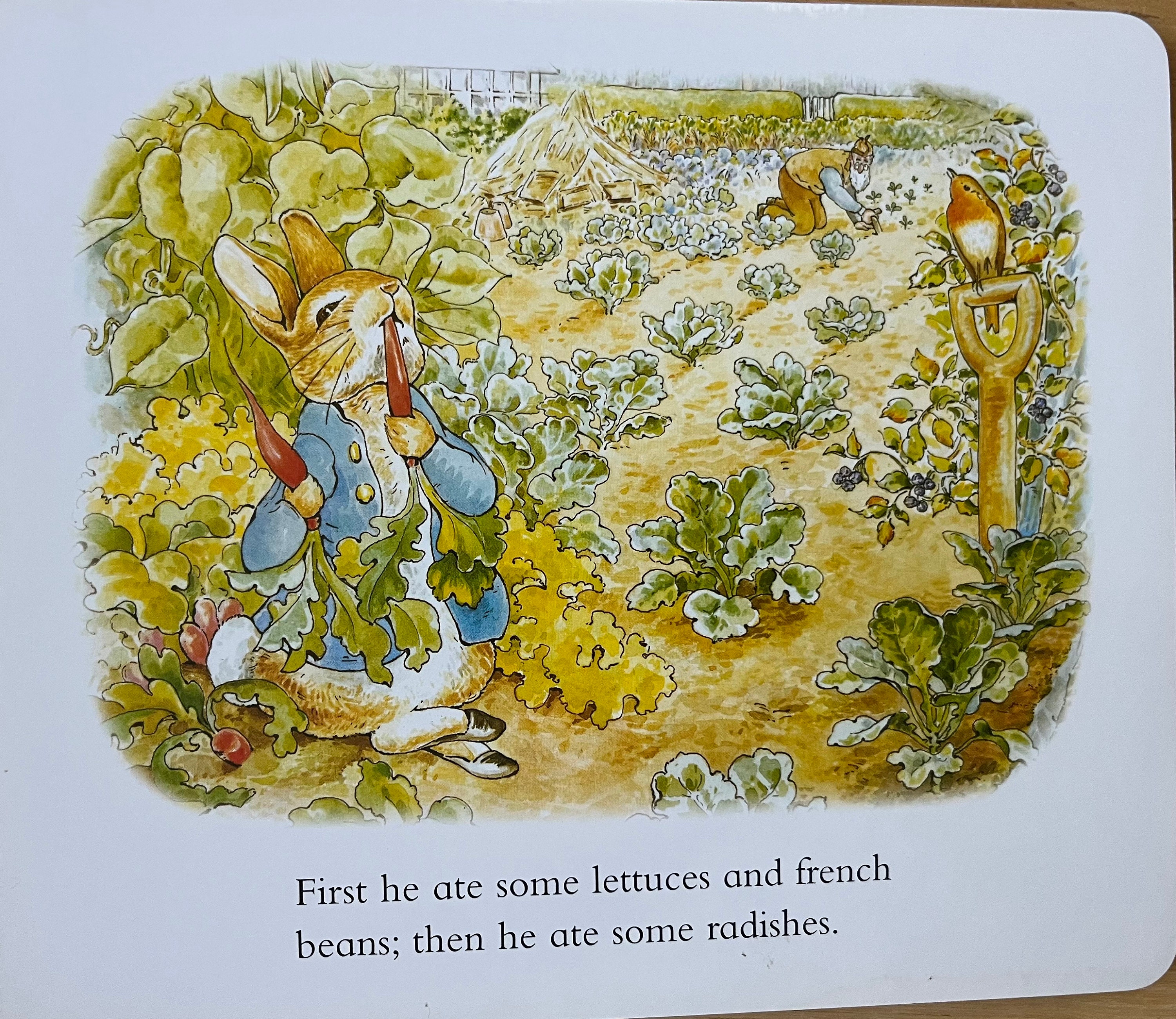 The Tale of Peter Rabbit A Story Board Book - Etsy