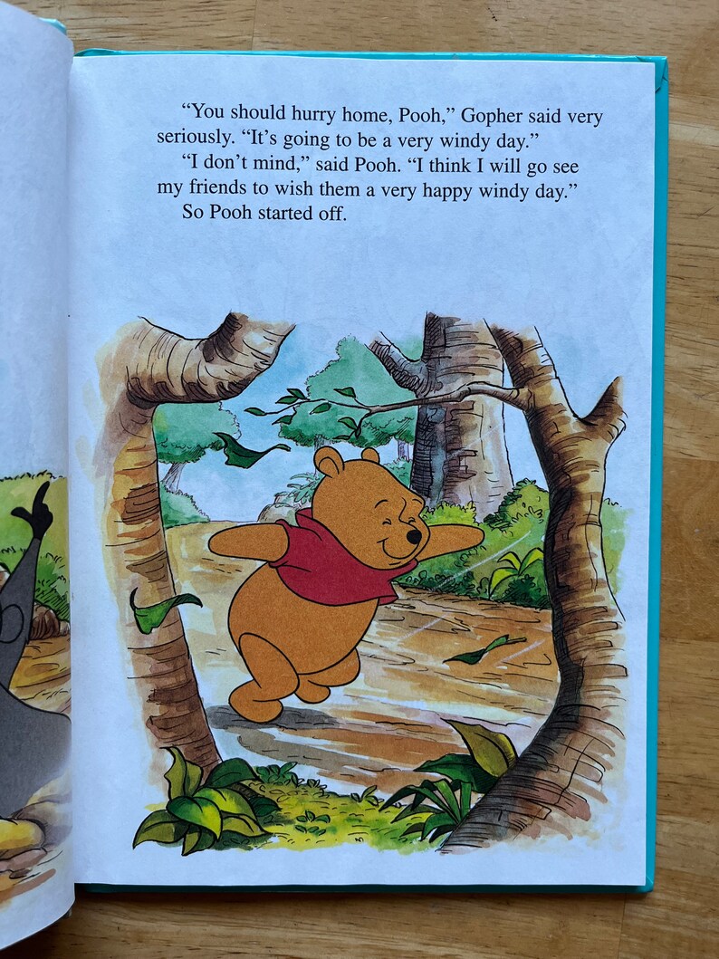 Disney's Winnie the Pooh and the Windy Day (hardcover) - Etsy