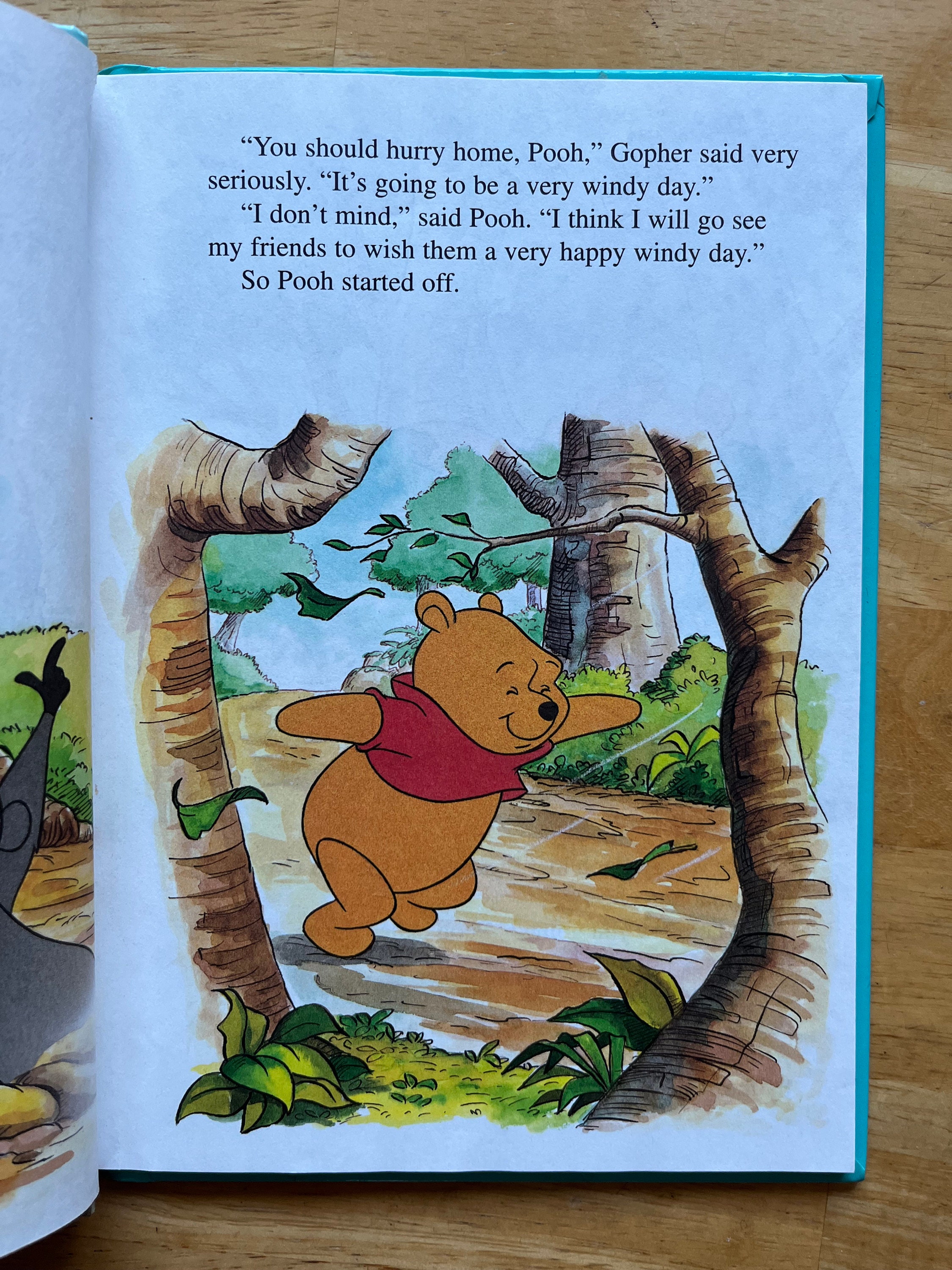 Disney's Winnie the Pooh and the Windy Day (hardcover) - Etsy