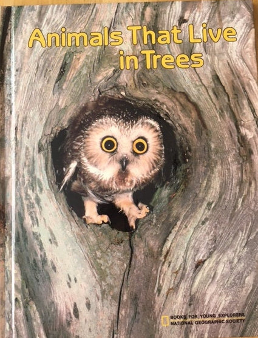 Animals That Live in Trees hardcover - Etsy