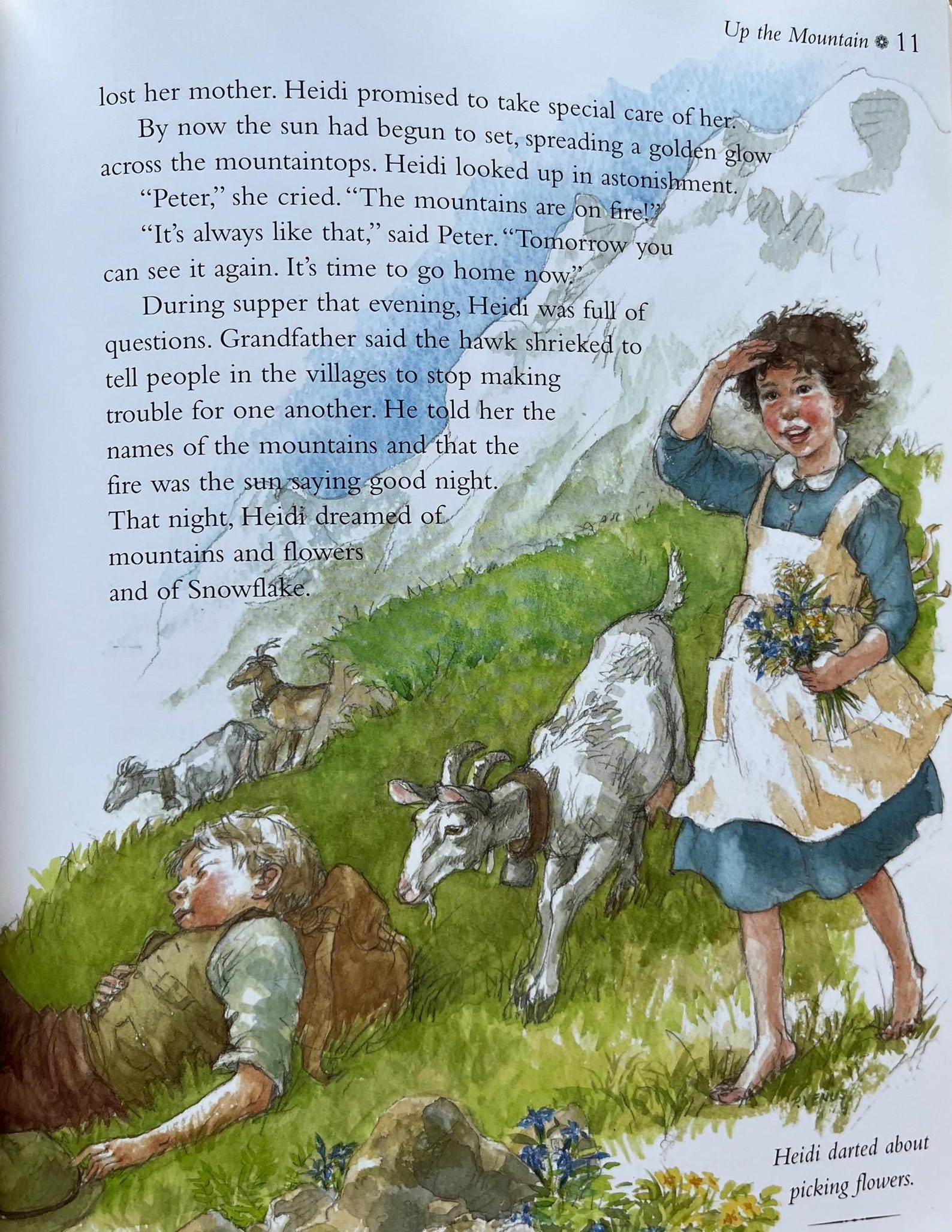 Heidi by Johanna Spyri, Retold by Sally Grindley, Illustrated by Pamela ...
