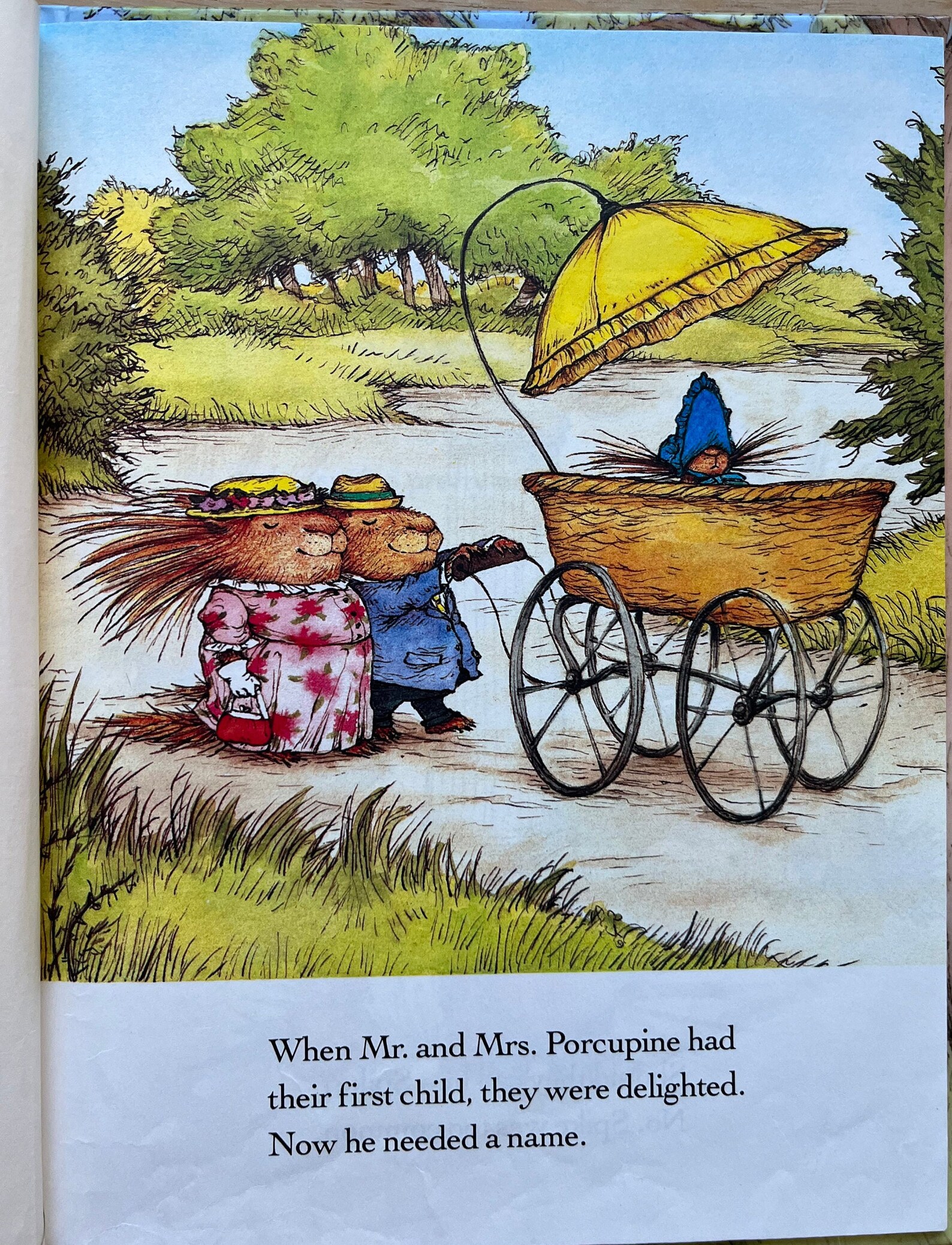 A Porcupine Named Fluffy by Helen Lester, Illustrated by Lynn Munsinger ...