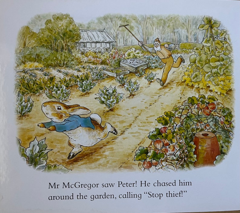 The Tale of Peter Rabbit A Story Board Book - Etsy