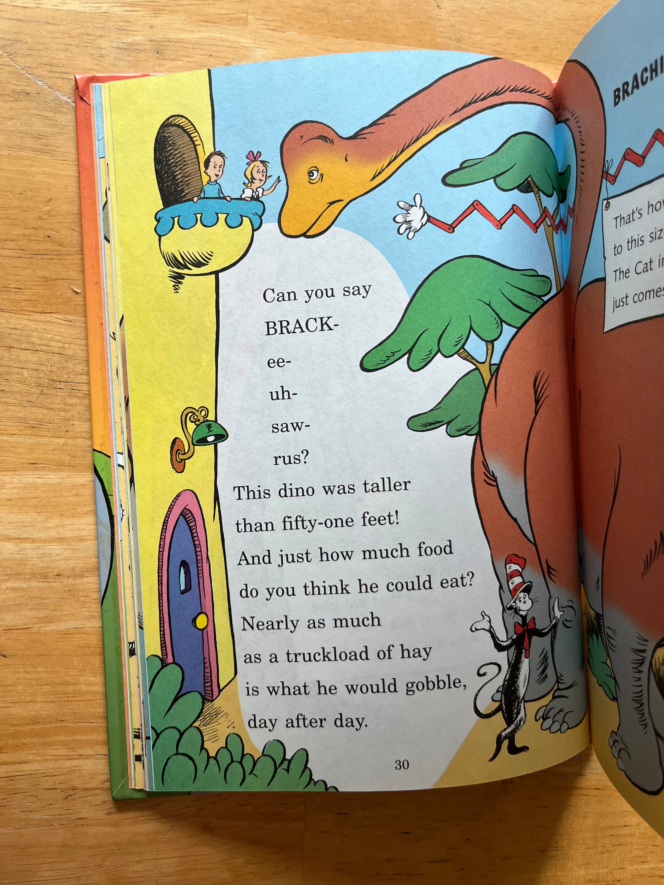 Oh Say Can You Say Di-no-saur by Bonnie Worth hardcover - Etsy
