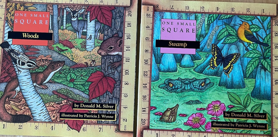 One Small Square Woods, One Small Square Swamp - Etsy