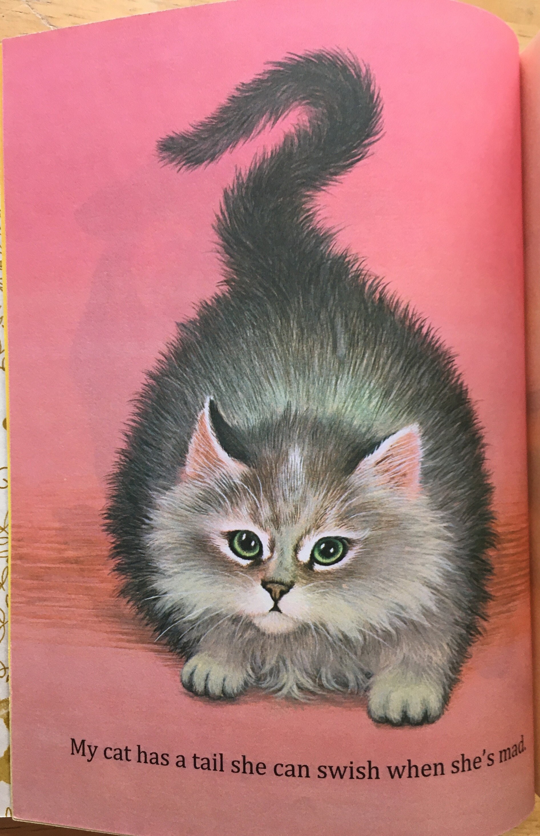 A Tale of Tails a Little Golden Book Classic - Etsy