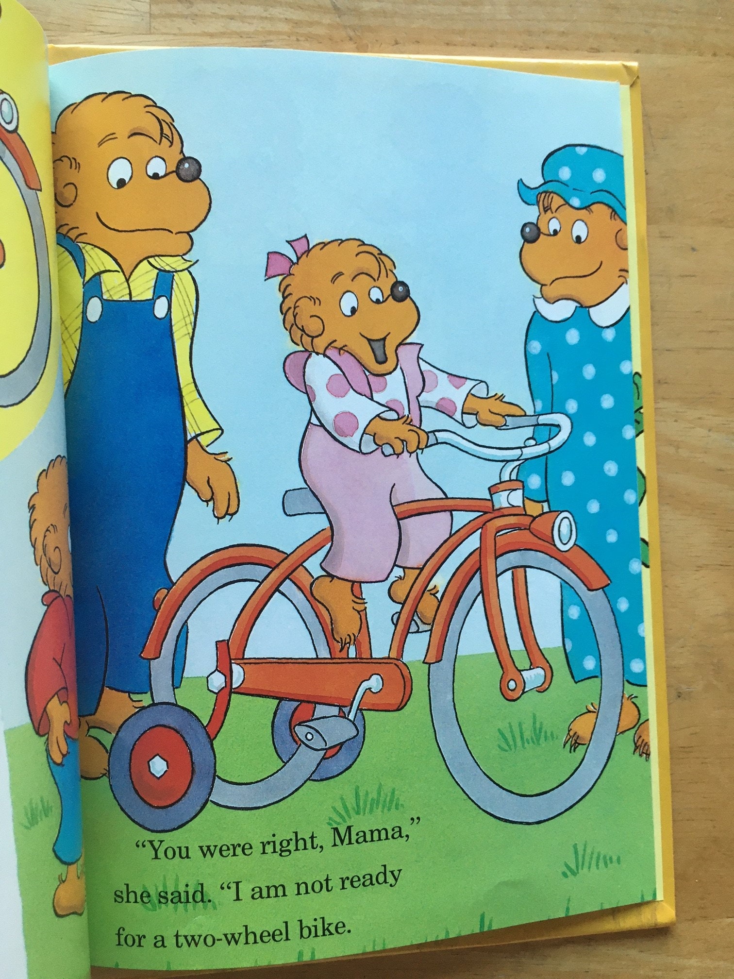 The Berenstain Bears Get Jealous (hardcover) - Etsy
