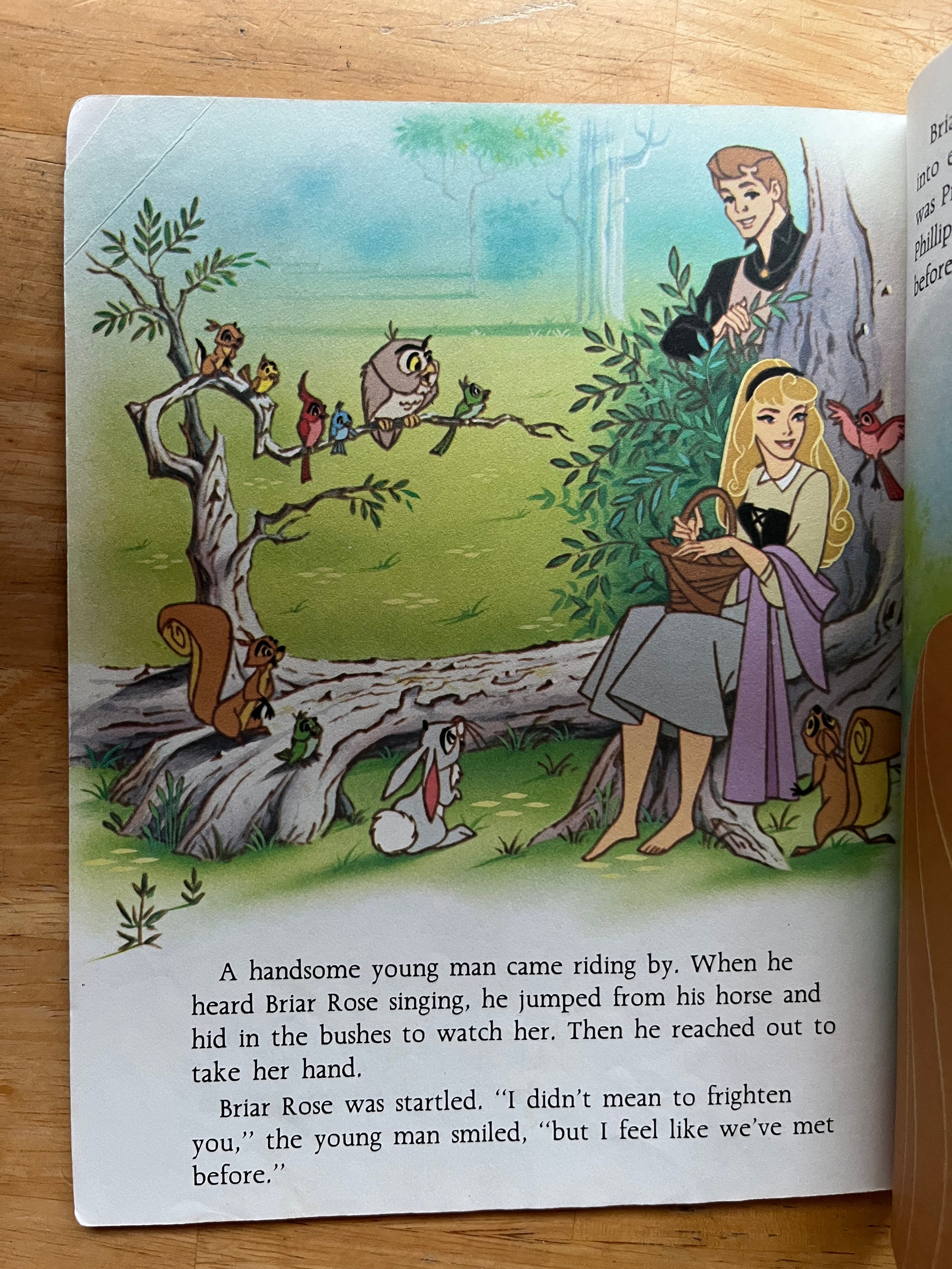 Walt Disney's Sleeping Beauty a Little Golden Book - Etsy