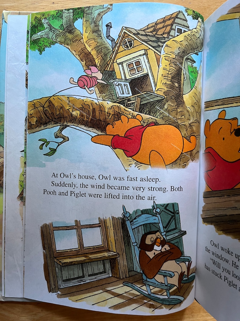 Disney's Winnie the Pooh and the Windy Day (hardcover) - Etsy