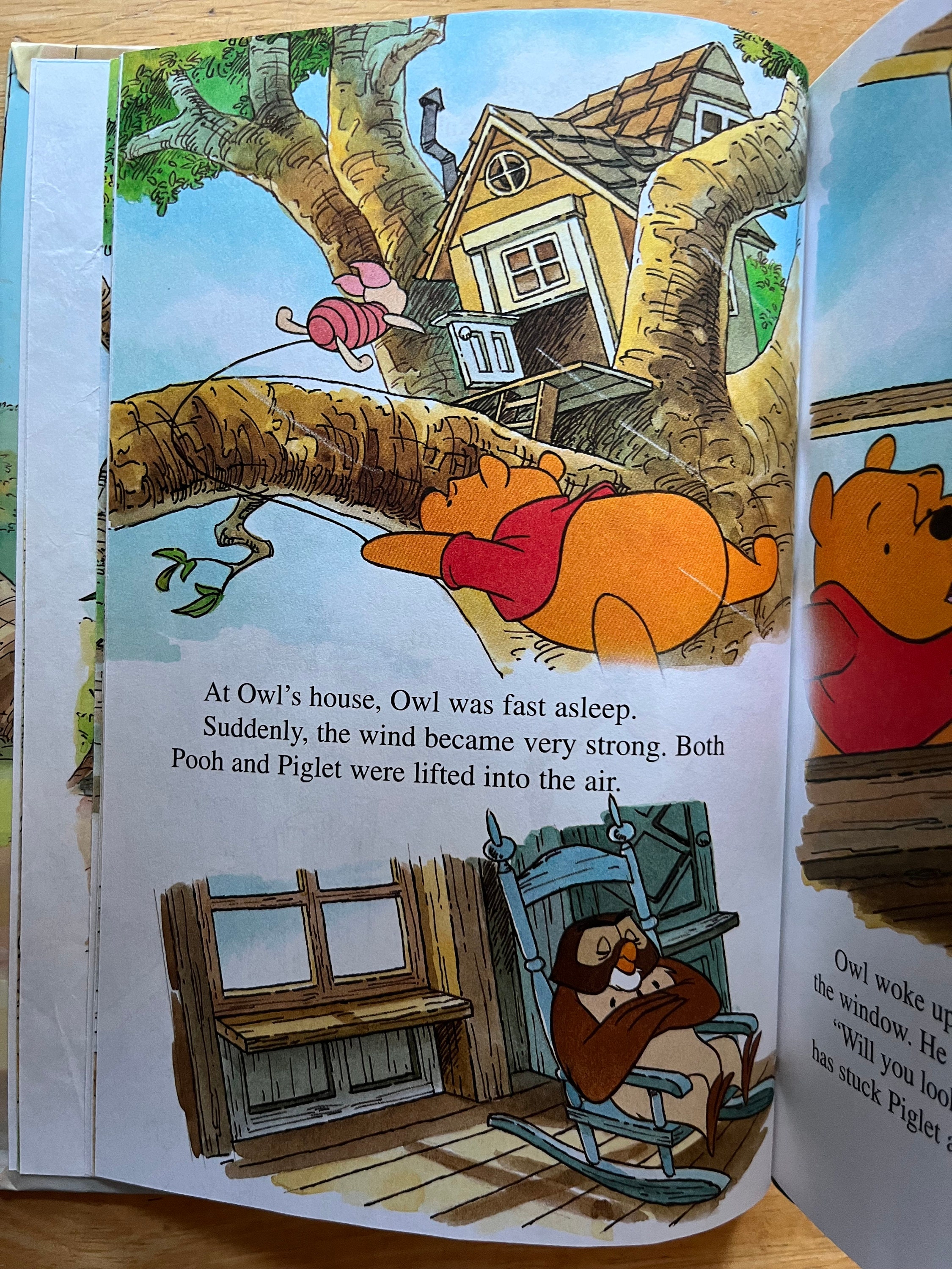 Disney's Winnie the Pooh and the Windy Day (hardcover) - Etsy