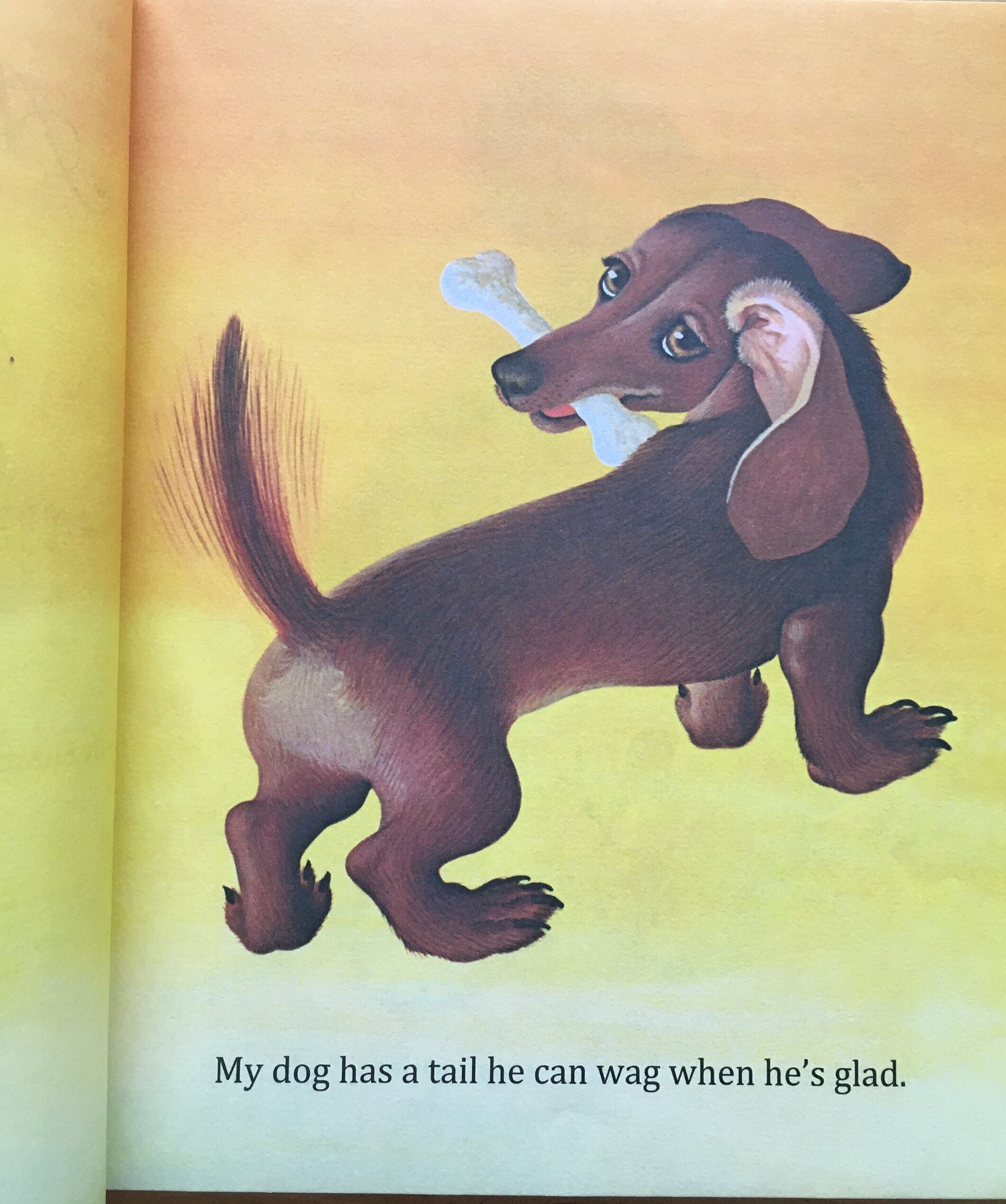 A Tale of Tails a Little Golden Book Classic - Etsy