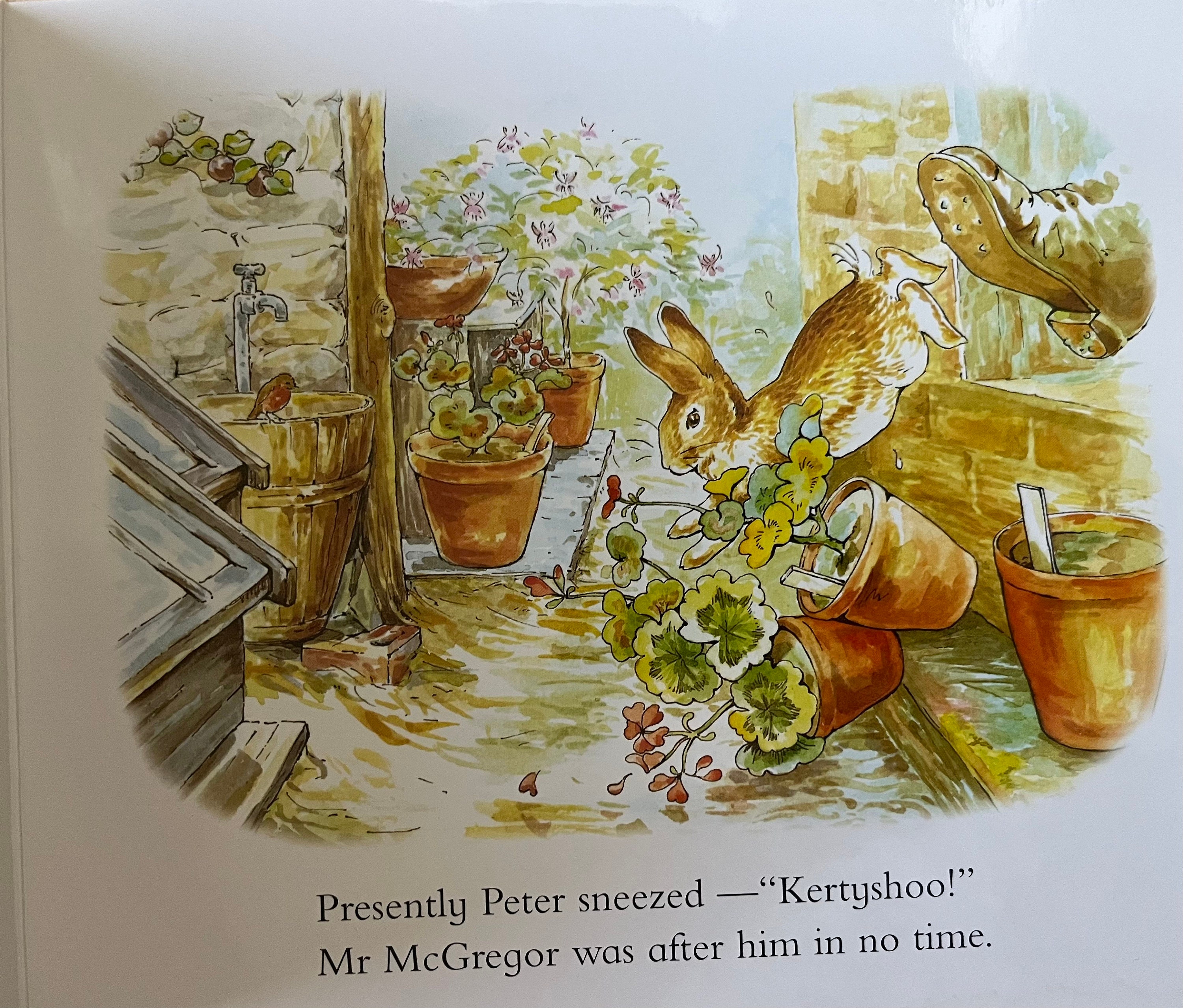 The Tale of Peter Rabbit A Story Board Book - Etsy