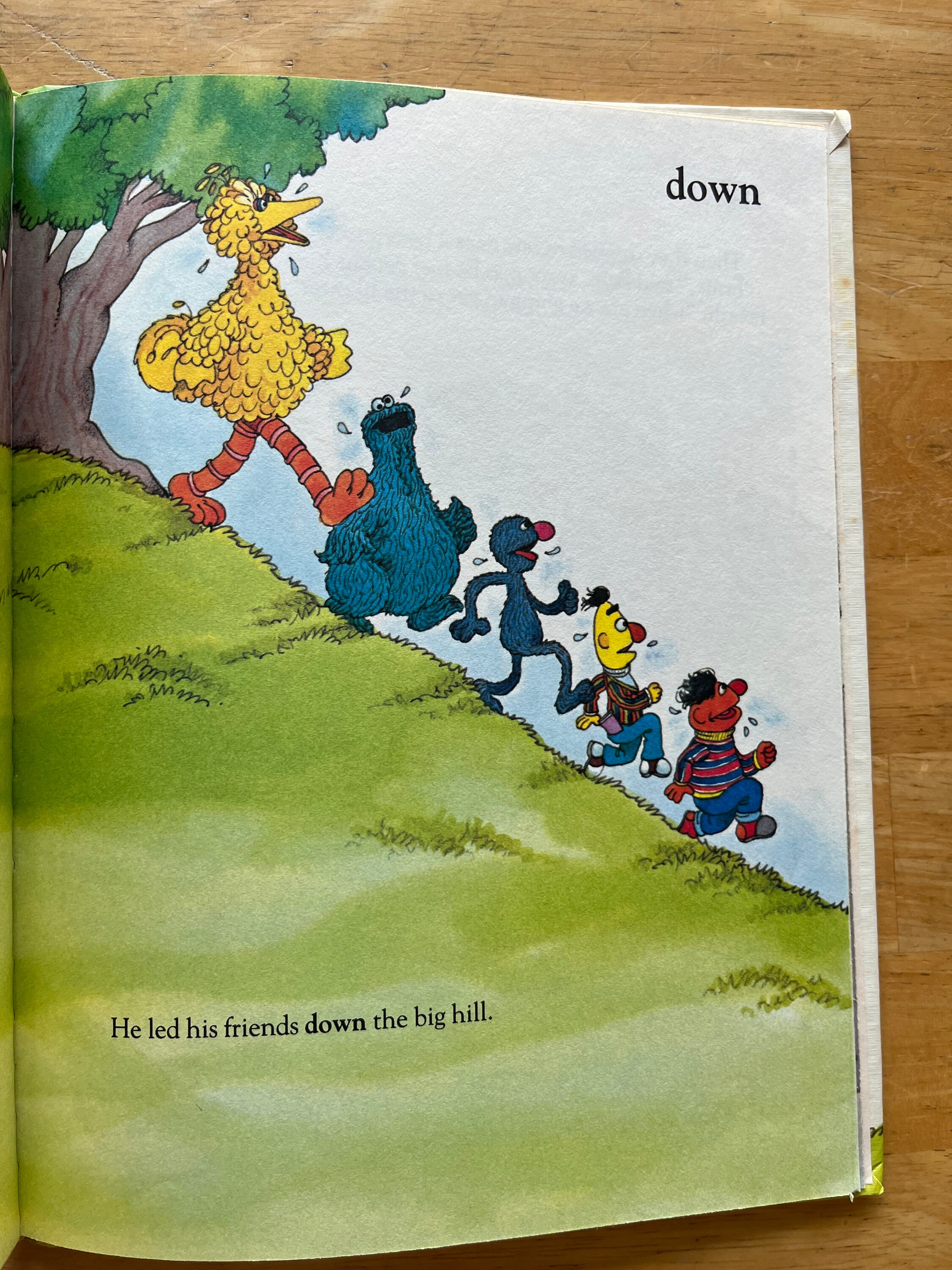 Follow the Leader (sesame Street, Hardcover) - Etsy